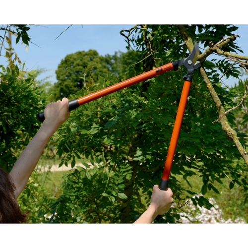 Ebrancheur à lames croisantes BAHCO - Qualité professionnelle - P140-F